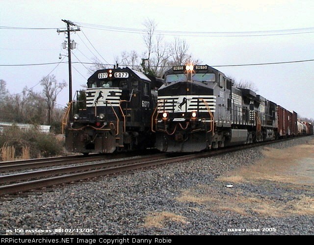 NS 156 and 338
